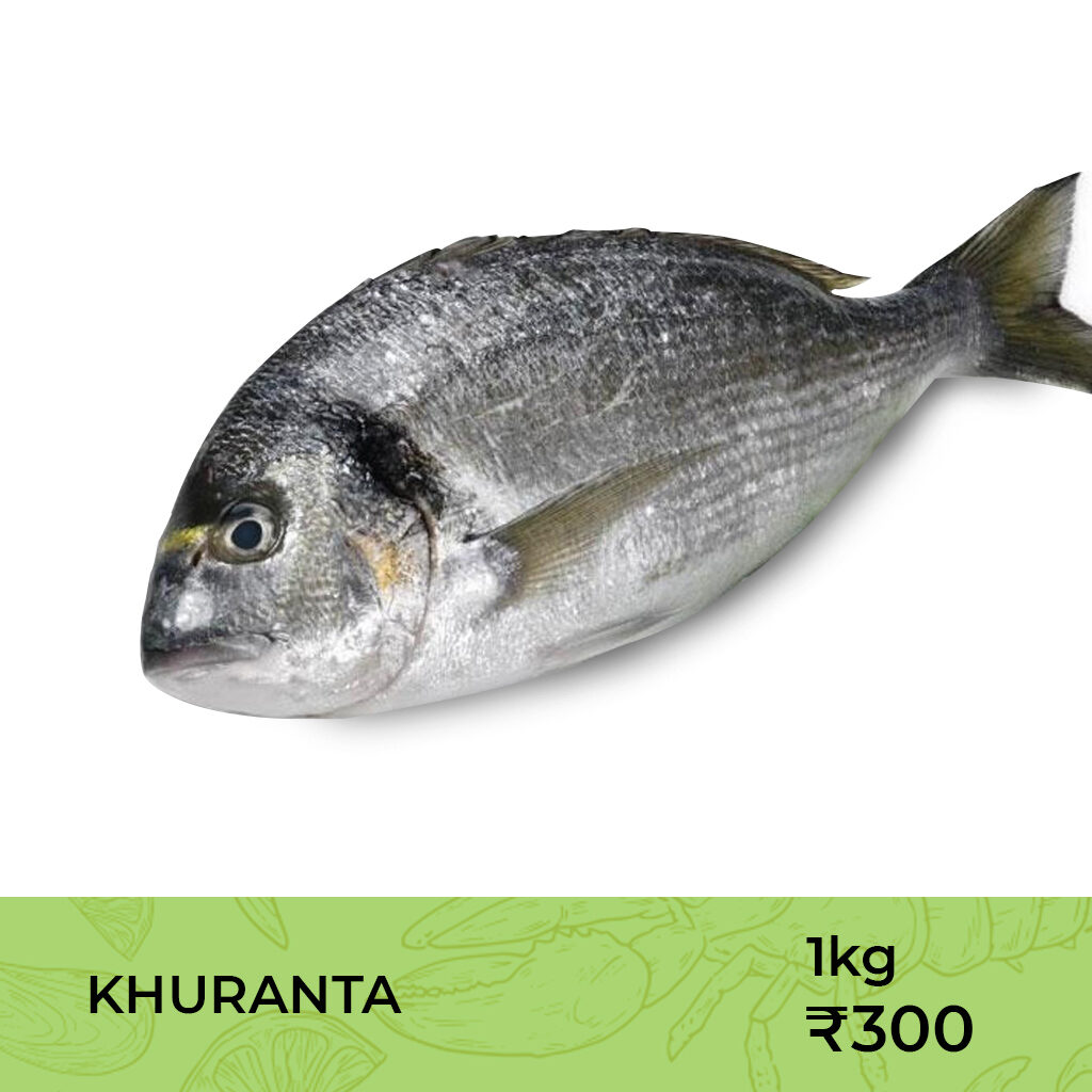 Sea fish and crab | Falcon Fresh