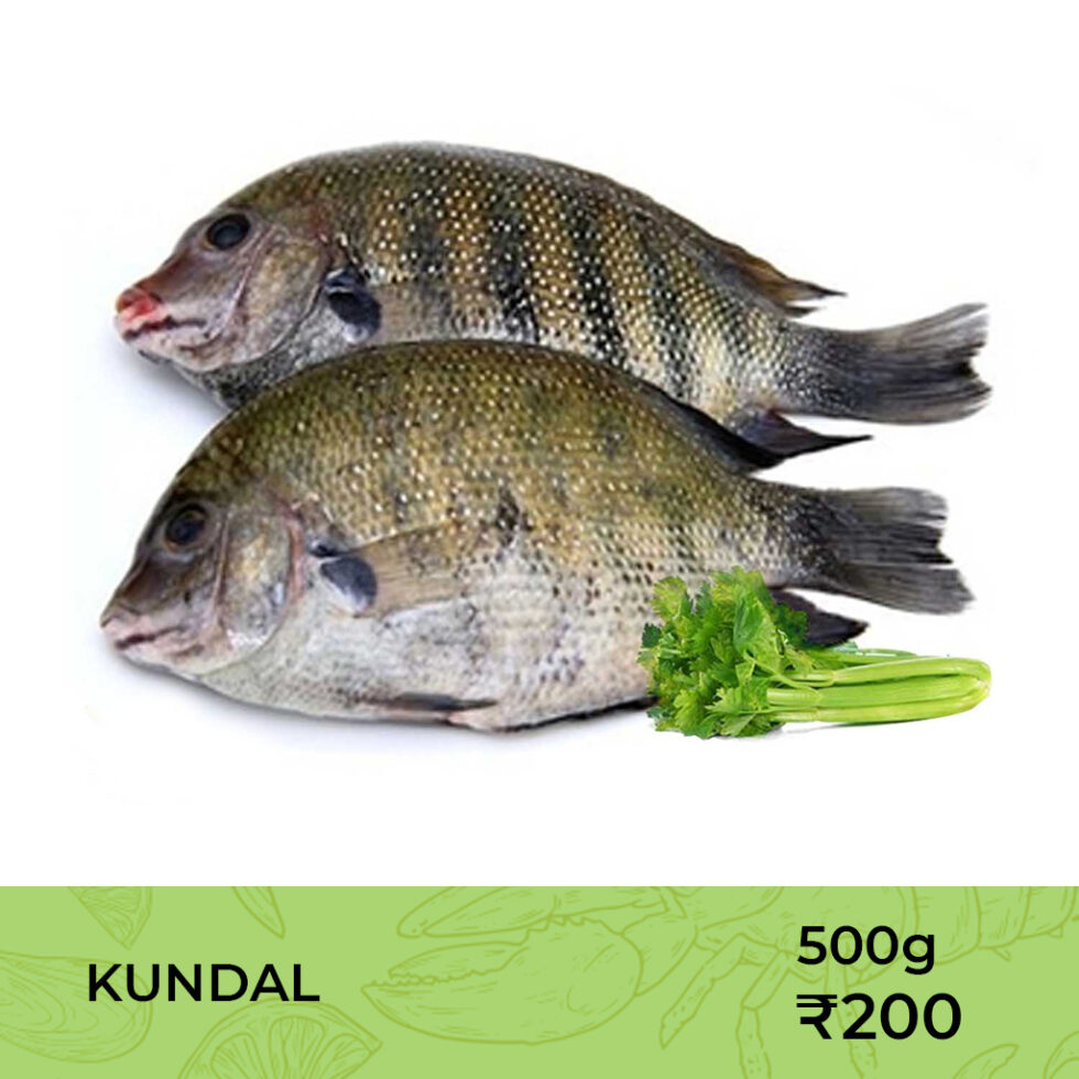 Sea fish and crab | Falcon Fresh